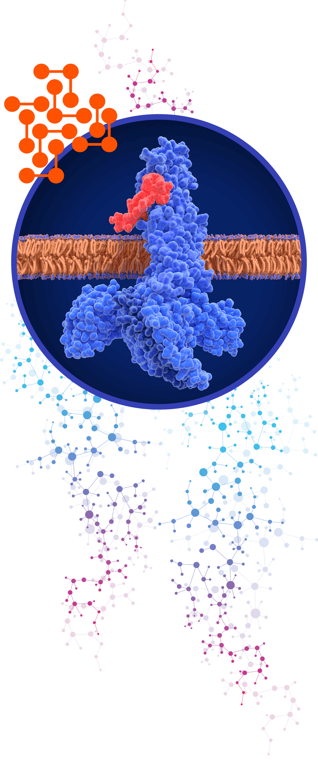 Buy Trimsulin Products Online - FirstFitness Nutrition